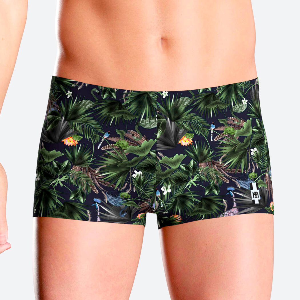Men's swim Boxer