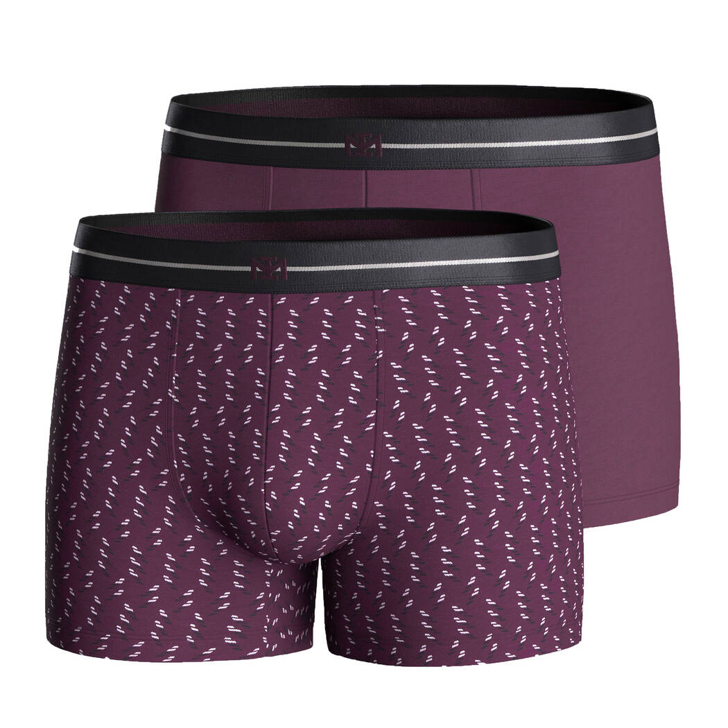Cotton and modal 2-pack men's boxer briefs Impetus Titan
