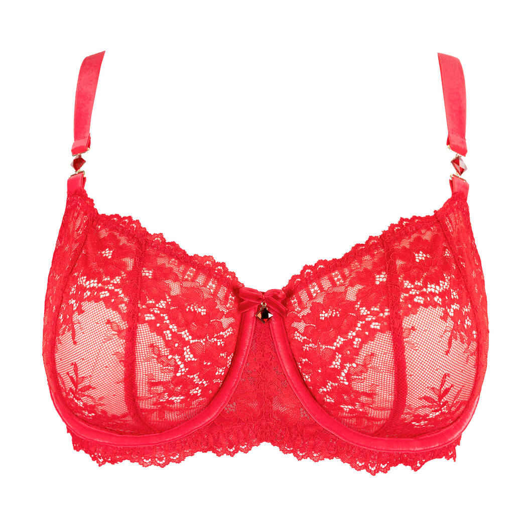 Dita Von Teese Dessous